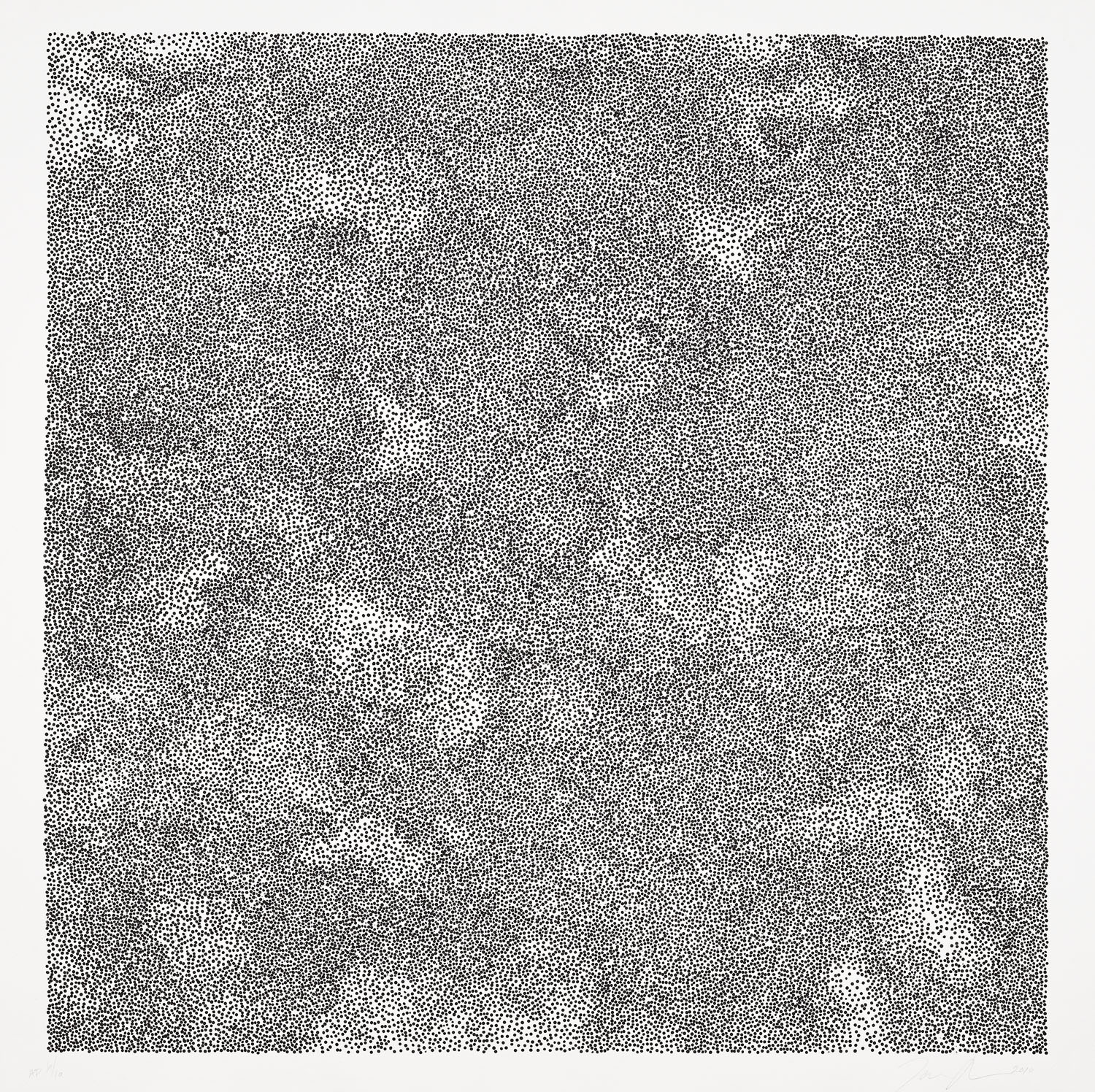 Tara Donovan | Pace Prints
